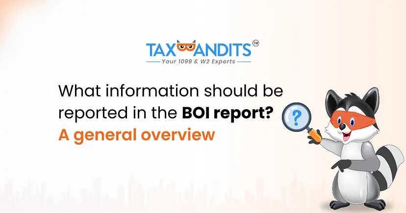 File Beneficial Ownership Information Report (BOIR) Online